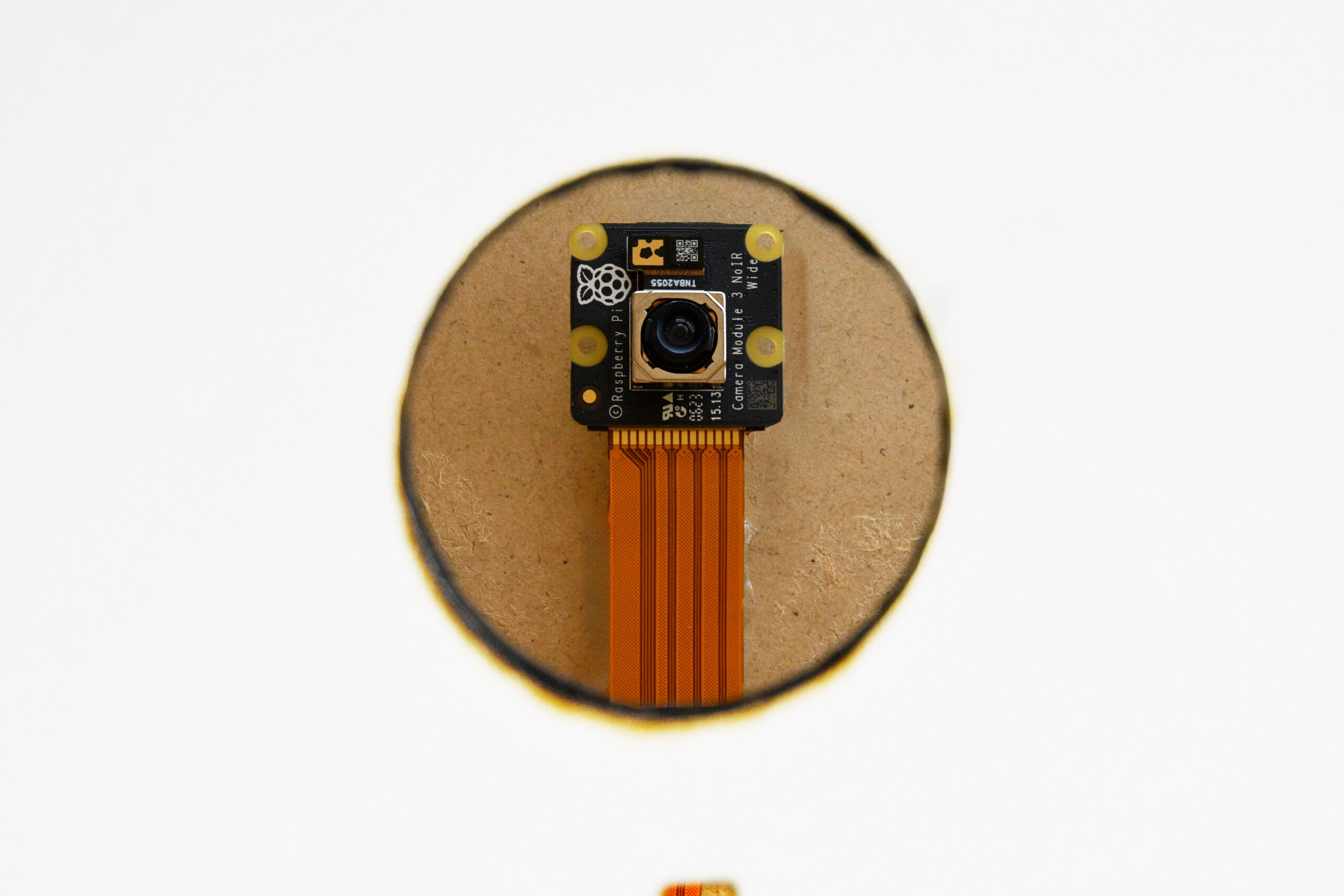 Raspberry Pi Bird Watching | Electronics For You